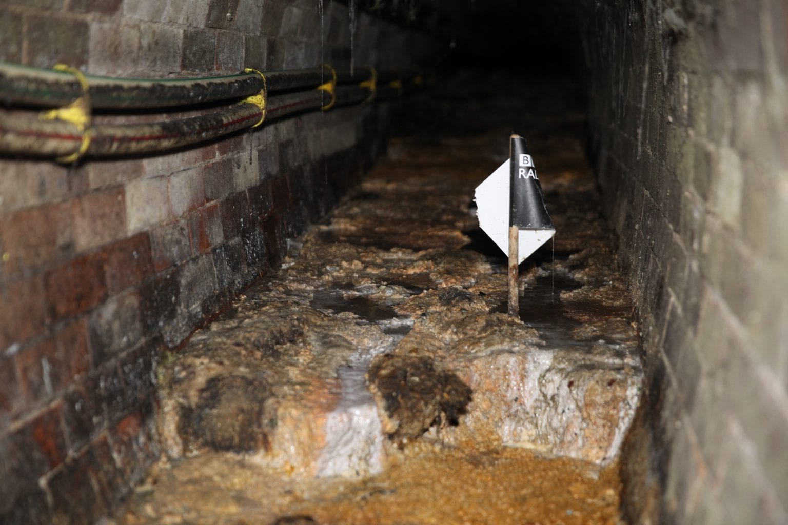 UN MONSTRE DANS LES ÉGOUTS, ce soir vendredi à 20 h sur ICI EXPLORA ...